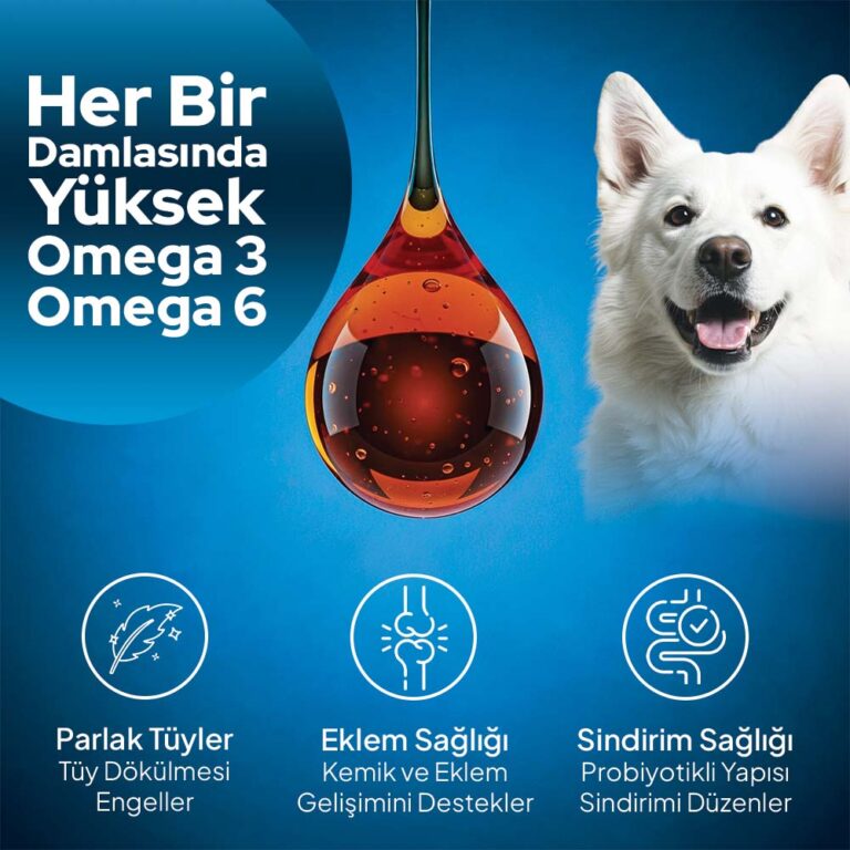 Mutamin Norveç Somon Yağı 250 ml – Mutamin Mama