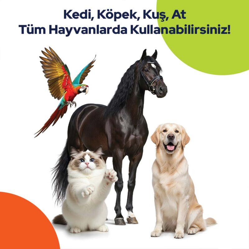 Mutamin Norveç Somon Yağı 250 ml – Mutamin Mama