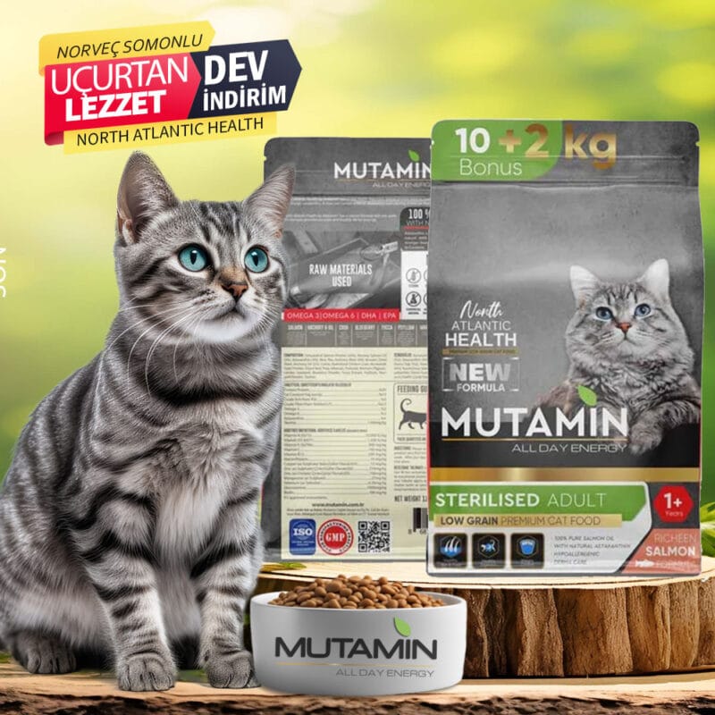 Chef`s Kibbles – Mini ve Küçük Irk Köpek Maması Kuzu Etli Pirinçli 2+1 ...